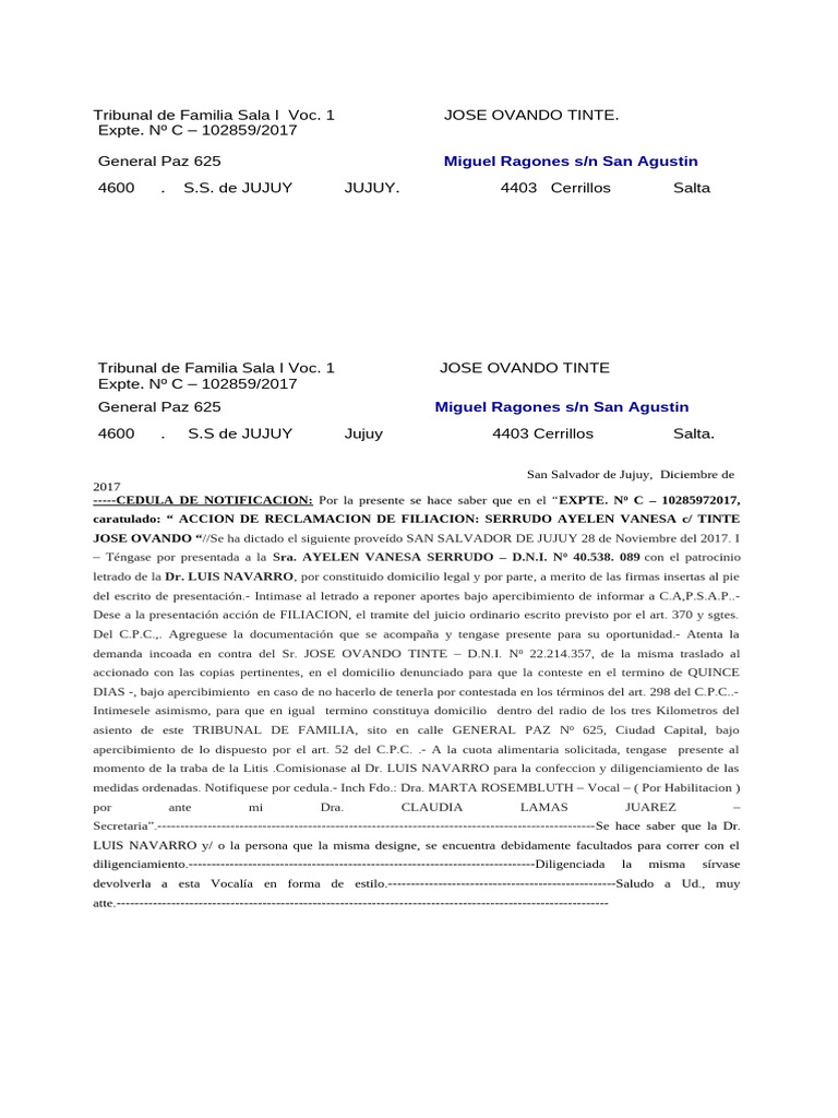 CARTA DOCUMENTO SERRUDO | PDF