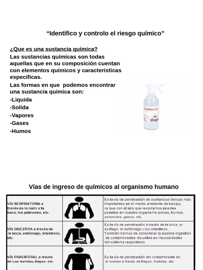 Control de Riesgos Químicos y Plagas | PDF | Plaga (organismo)