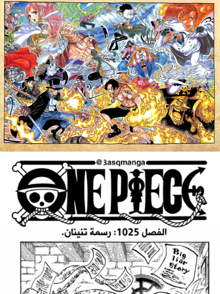 One Piece Chapter 1025 | PDF