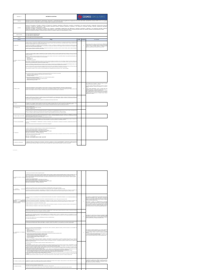 Informe Auditoria Interna RUC SALGADO MELENDEZ | PDF