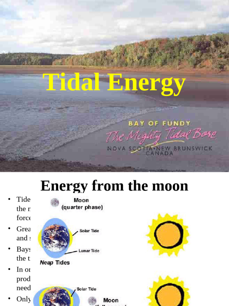Tidal Energy | PDF