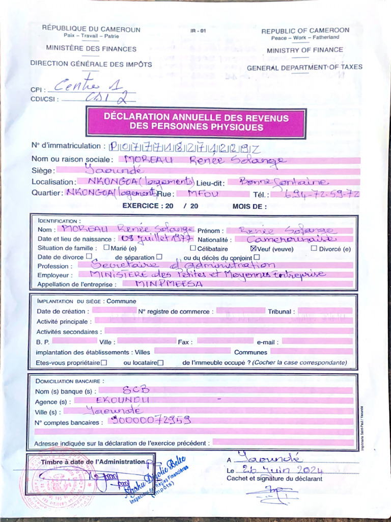 Déclaration Des Revenus Annuels | PDF