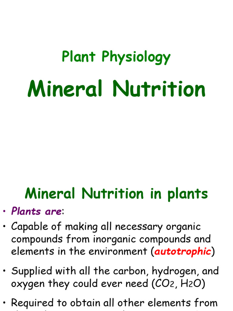 Plant Physiology - Mineral Nutrition | PDF | Plant Nutrition | Soil