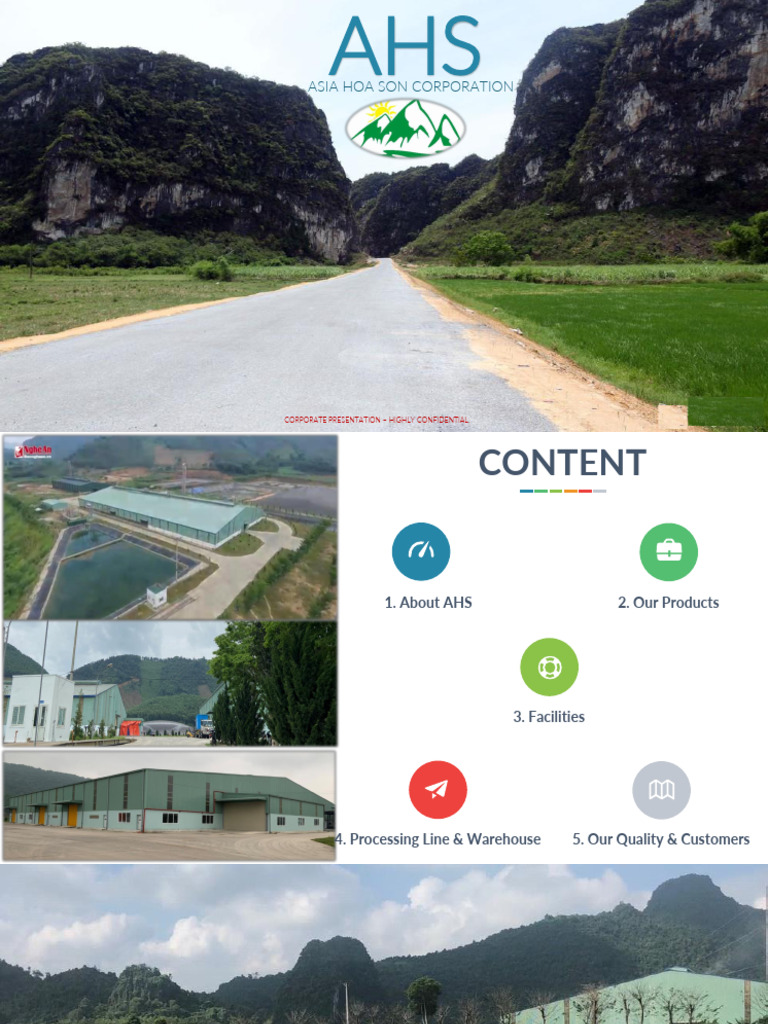 Asia Hoa Son Presentation - Eng. Version | PDF