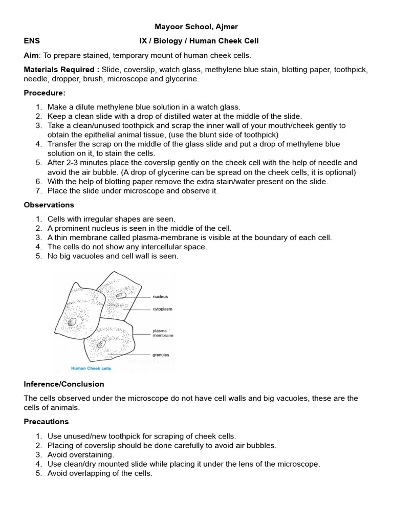 Human Cheek Cell Practical | PDF