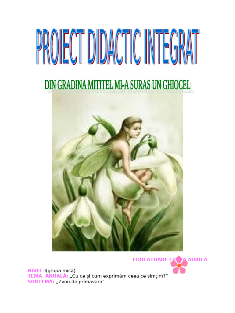195 Proiect Didactic | PDF