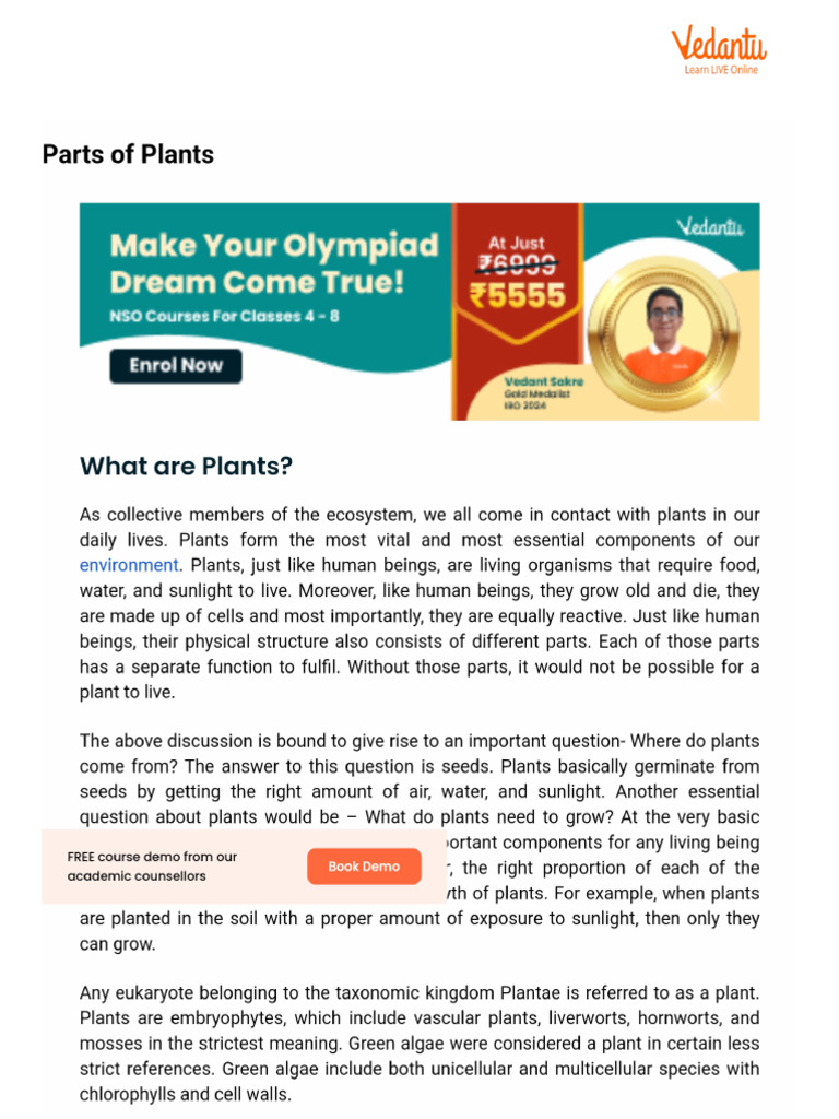 Parts of Plants | PDF