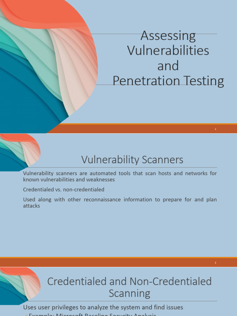 12-Assessing Vulnerabilities-05-08-2024 | PDF