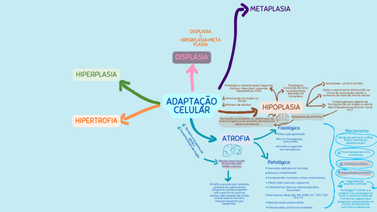 Mapa mental adap | PDF