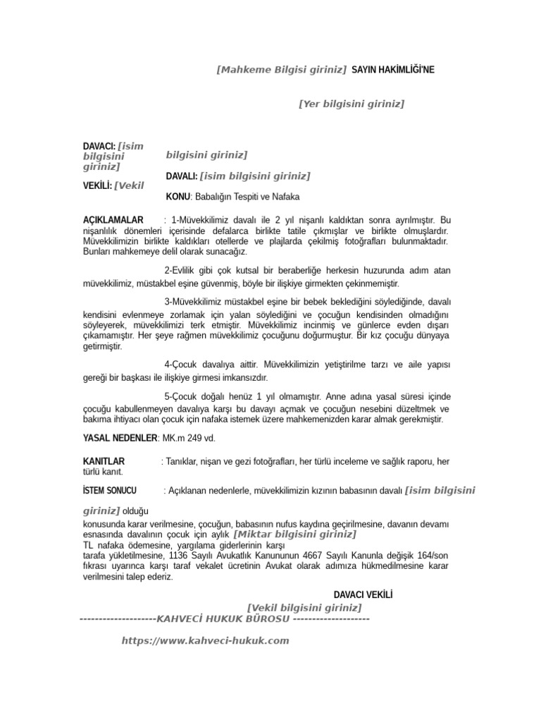 Babalik Ve Nafaka Davasi Dilekcesi | PDF