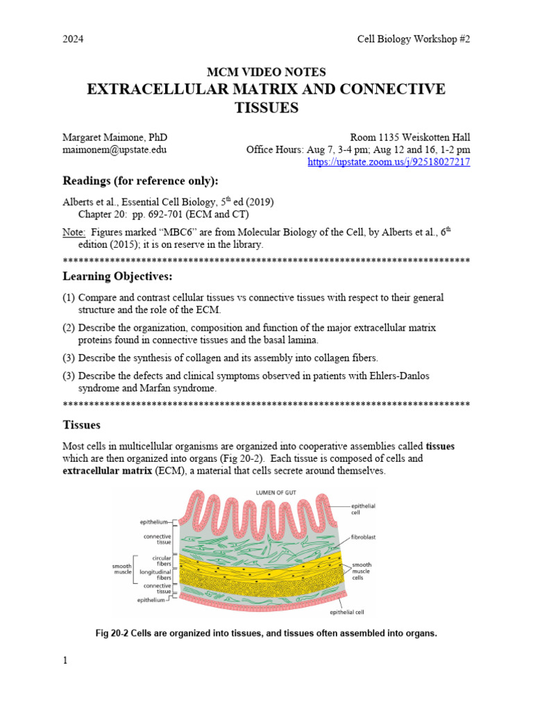 Handout - Extracellular Matrix & Connective Tissues 2024 (Maimone ...