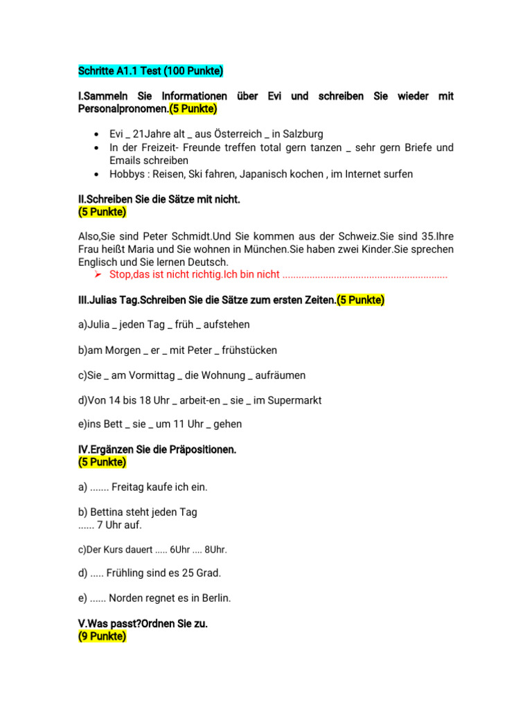 Schritte A1.1 Test | PDF
