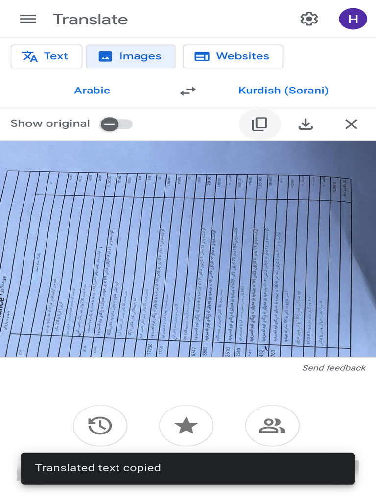 Google Translate | PDF