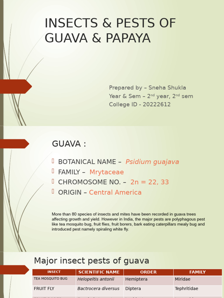 INSECTS & PESTS OF GUAVA & PAPAYA by Sneha Shukla-1 | PDF | Pest ...