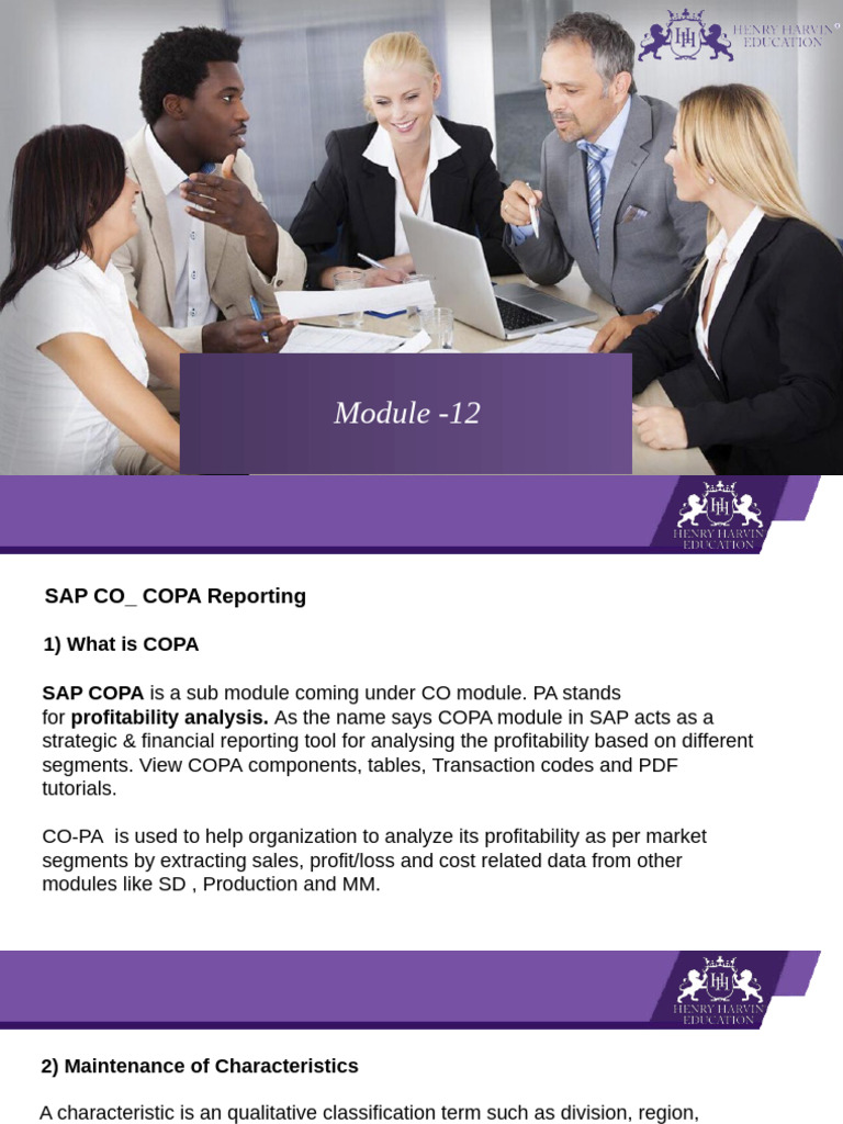 Module 12 - SAP CO - COPA Reporting | PDF