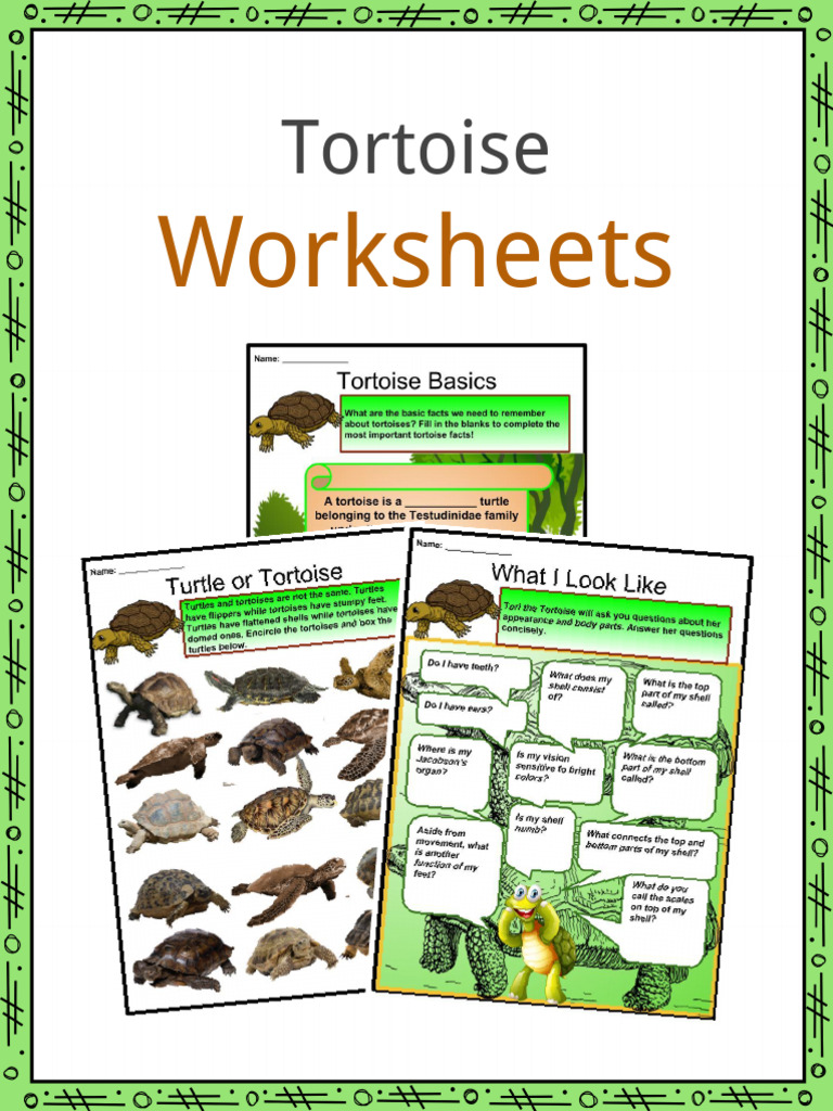 Sample Tortoise Worksheets | PDF
