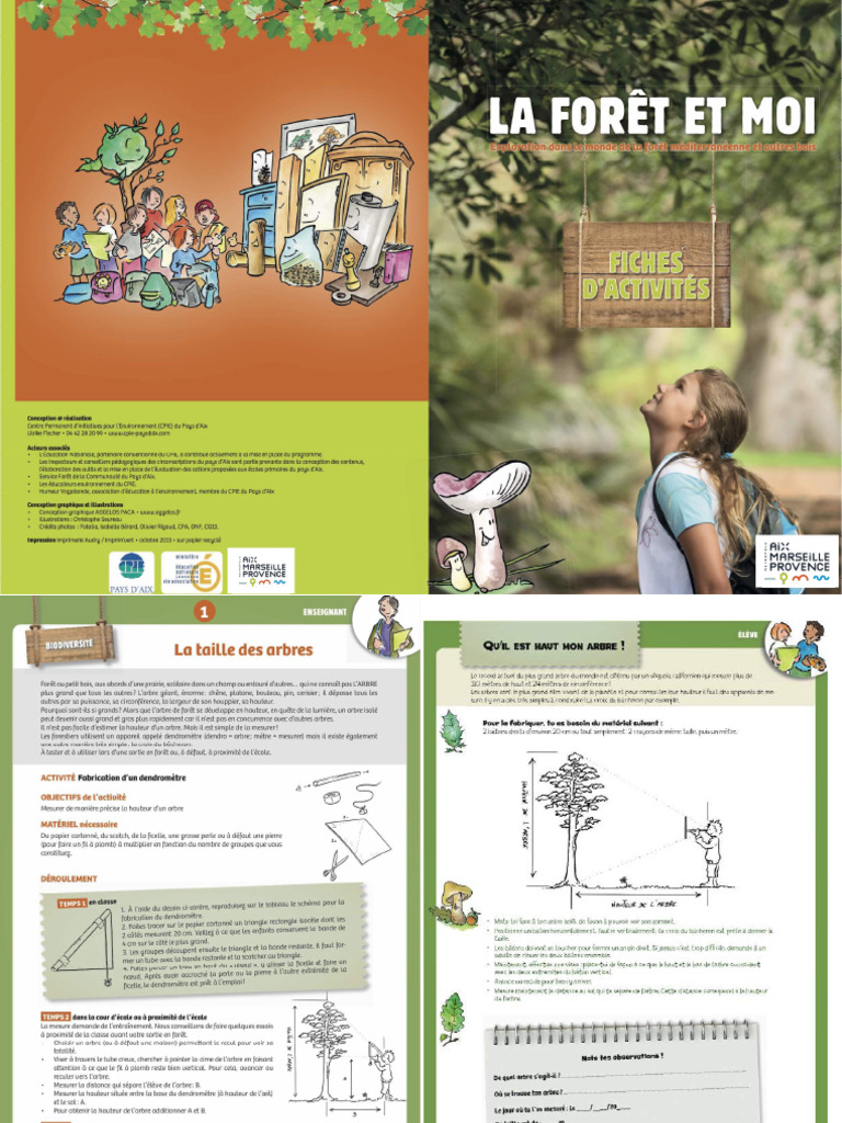 2023 Forêt Fiches Activites | PDF