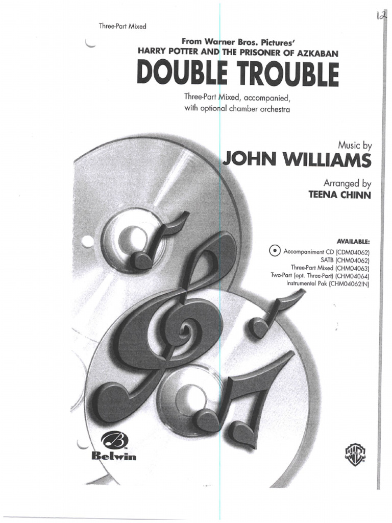 Double Trouble | PDF
