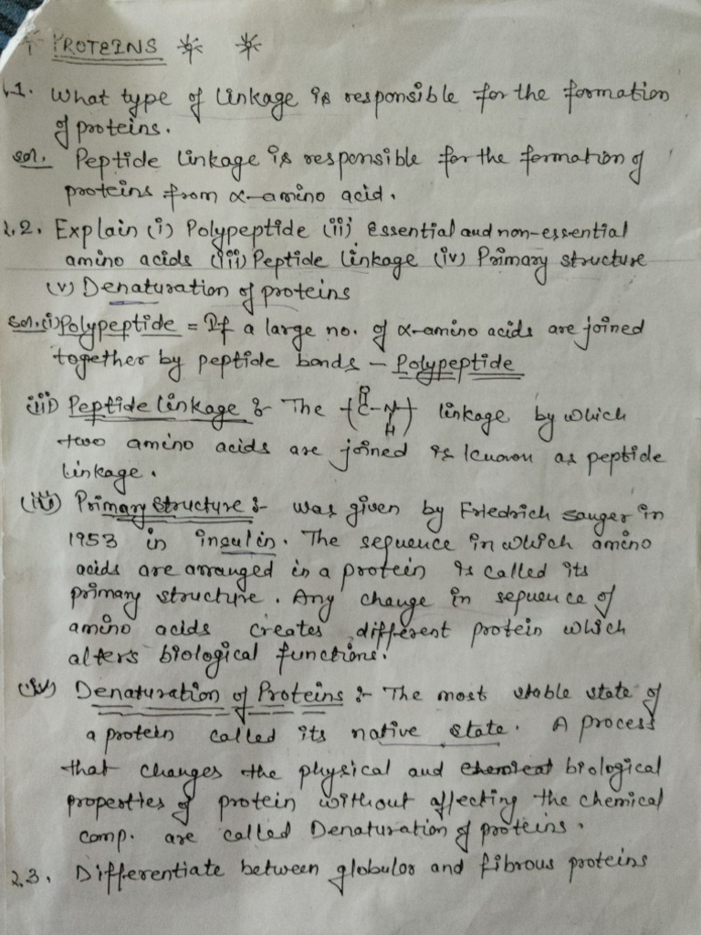 Biomolecules Important Questions (1) | PDF Biomolecules Important Questions (1) | PDF