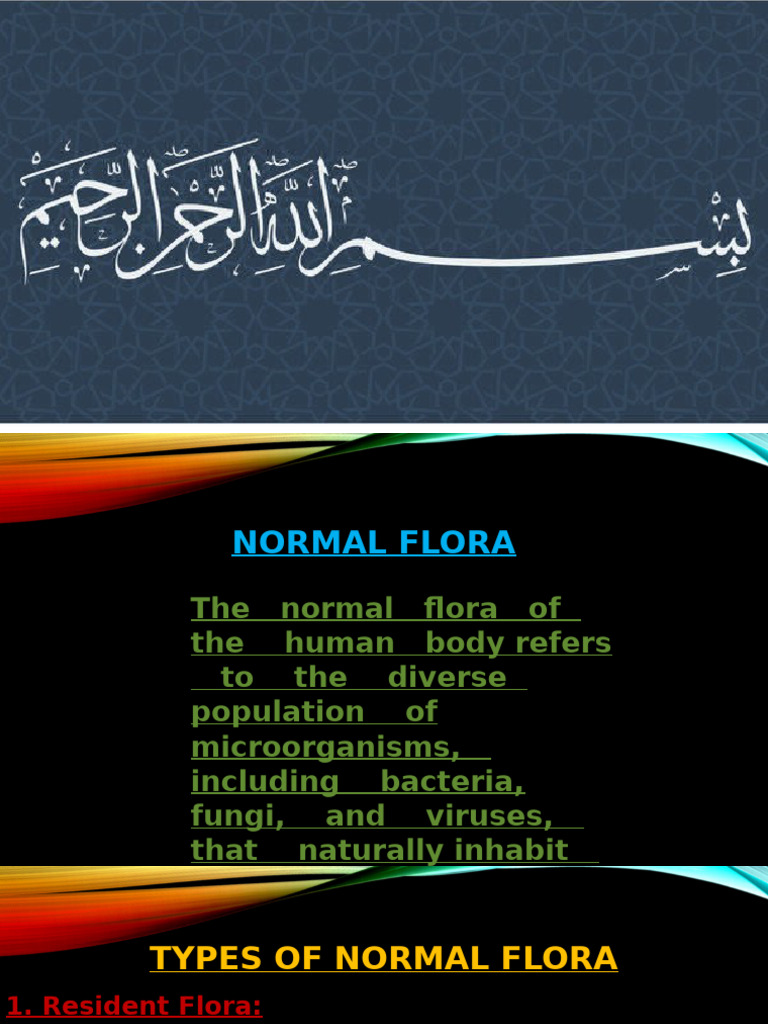 On Normal Flora | PDF