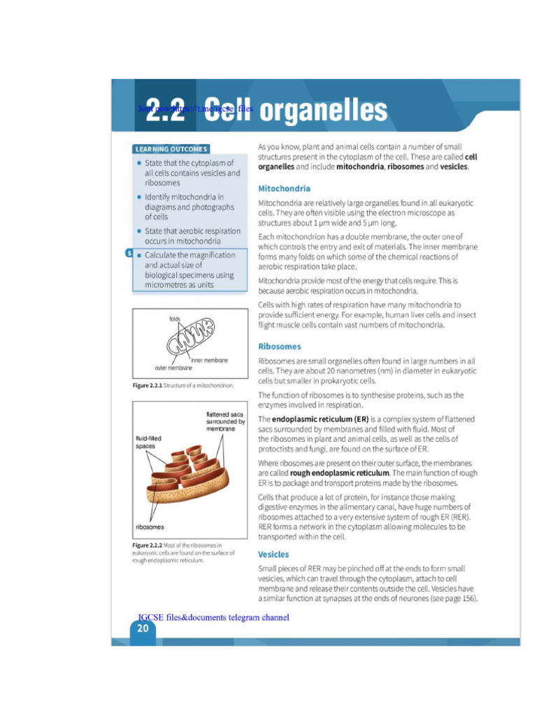 8B Biology Class 2 | PDF