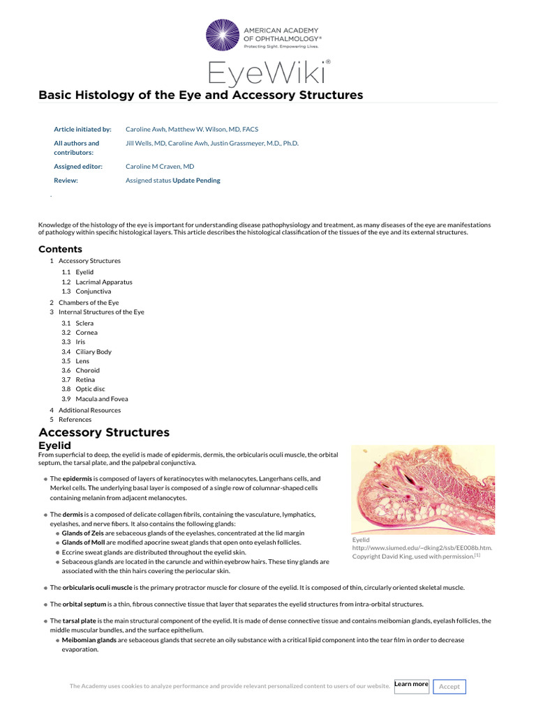 Basic Histology of The Eye and Accessory Structures - EyeWiki | PDF