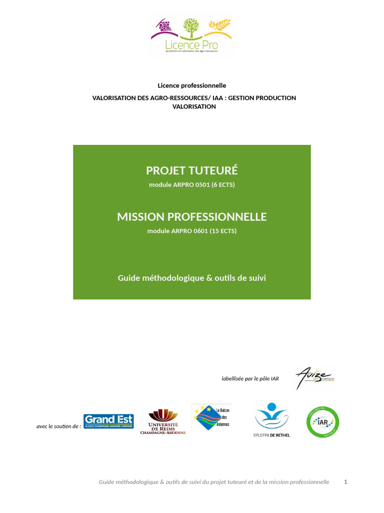 Guide Méthodo Projet Tuteuré Mission | PDF