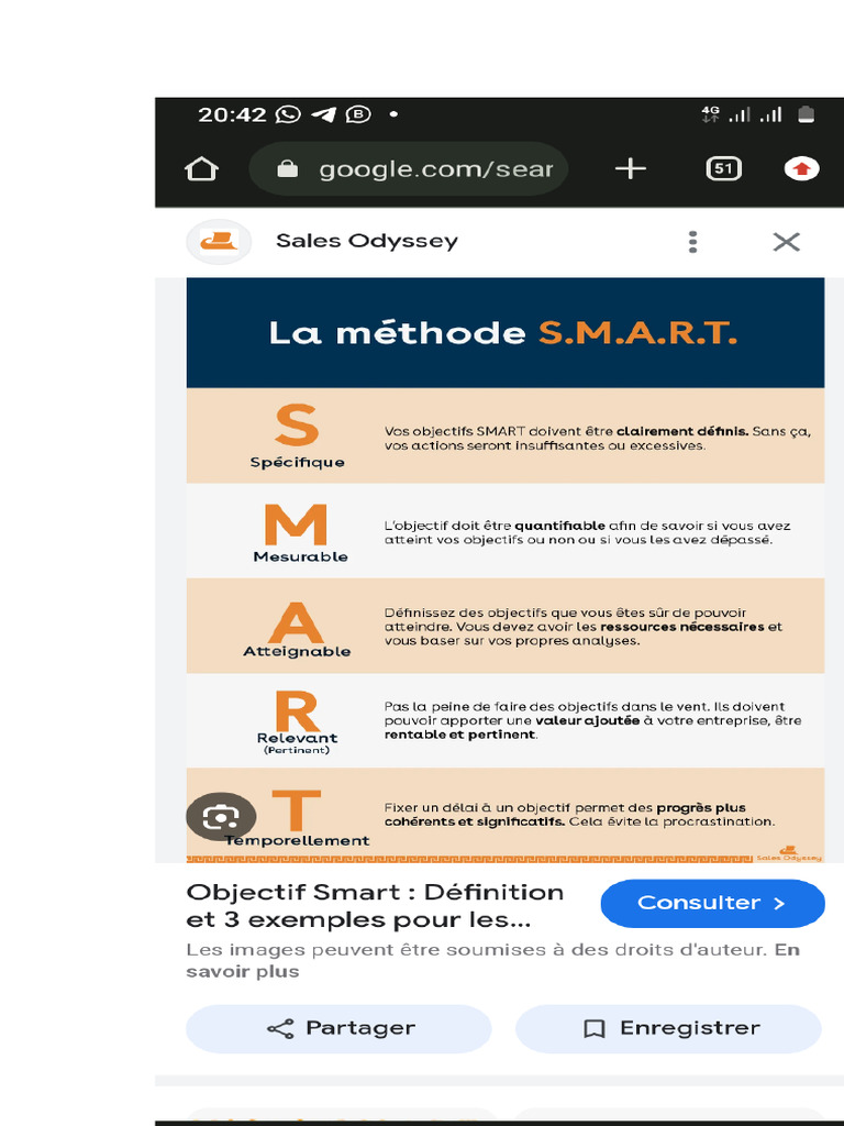 OBJECTIF SMART | PDF
