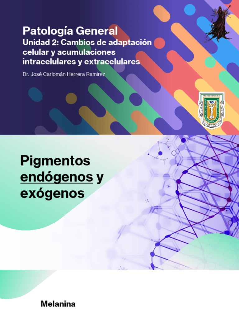 Notas de Unidad 2 Clase 3 Pigmentos Endógenos y Exógenos | PDF