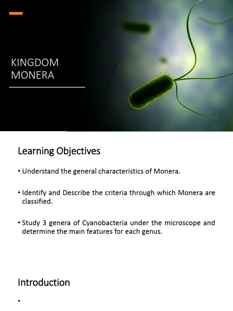 Lab 2 Kingdom Monera | PDF