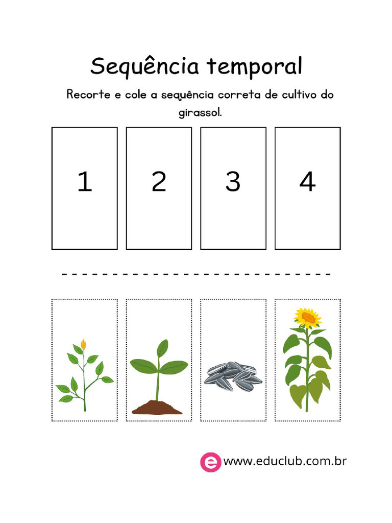 Atividade de Sequência Temporal Da Planta | PDF