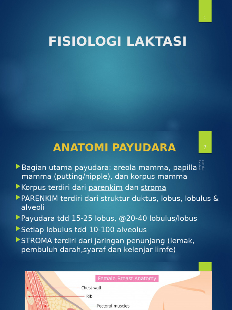 Fisiologi Mammae Dan Asi | PDF