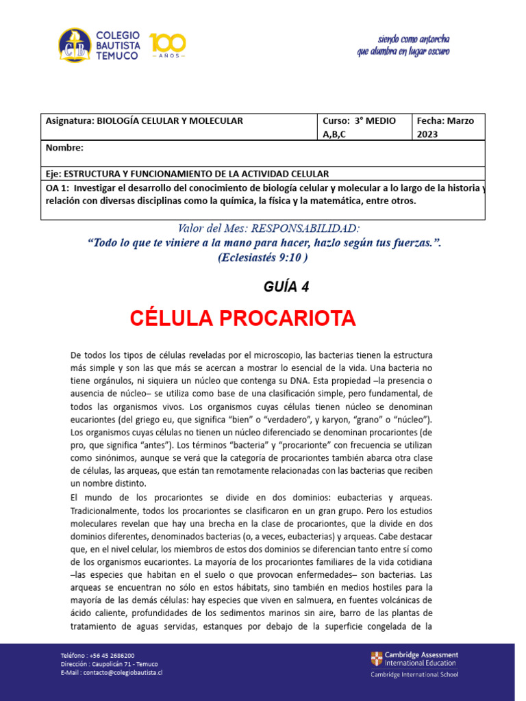 Guia 4 Celula Procariota | PDF