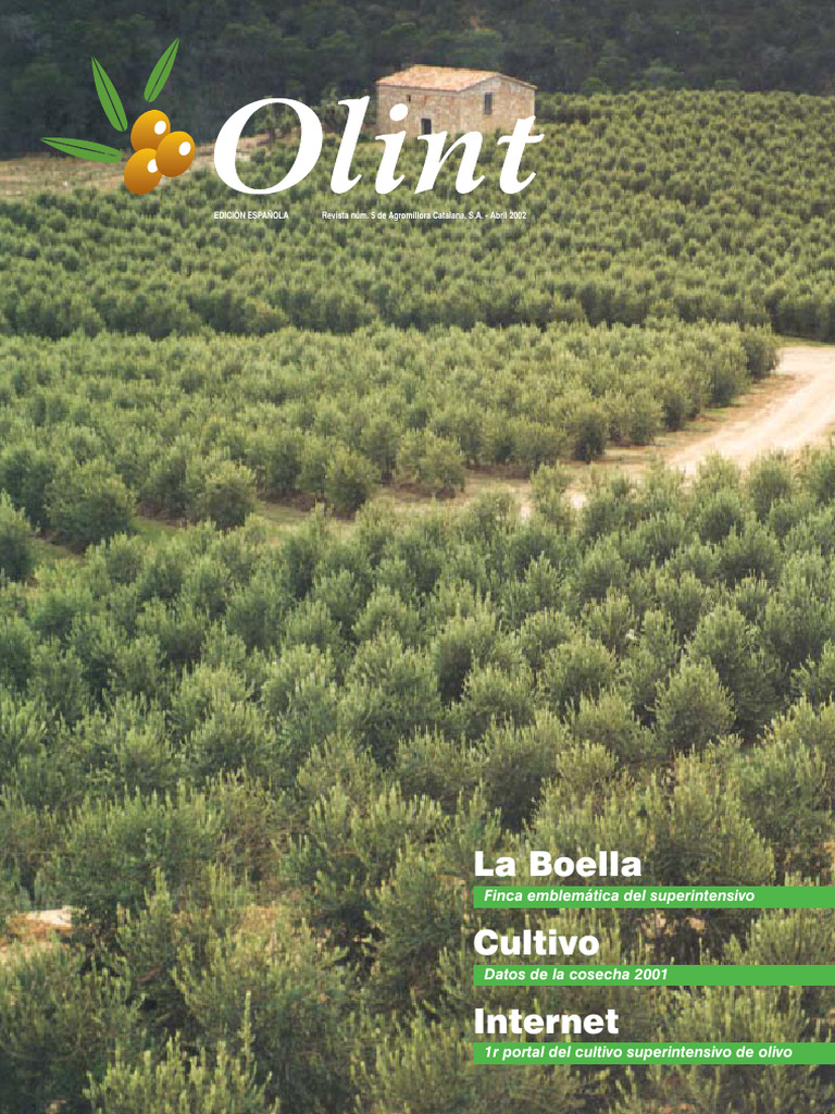 Olint 5 | PDF