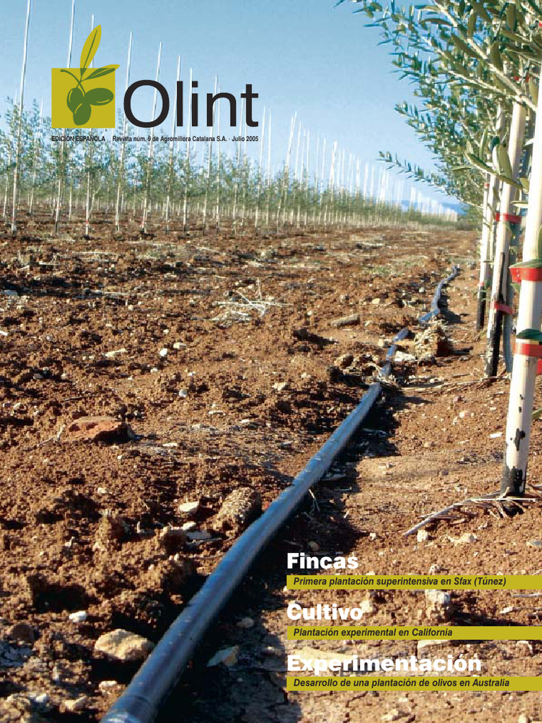 Olint 9 | PDF