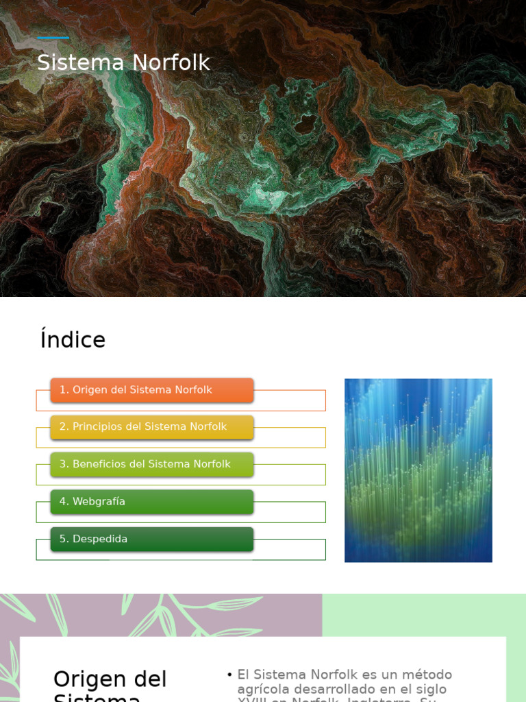 Sistema Norfolk | PDF