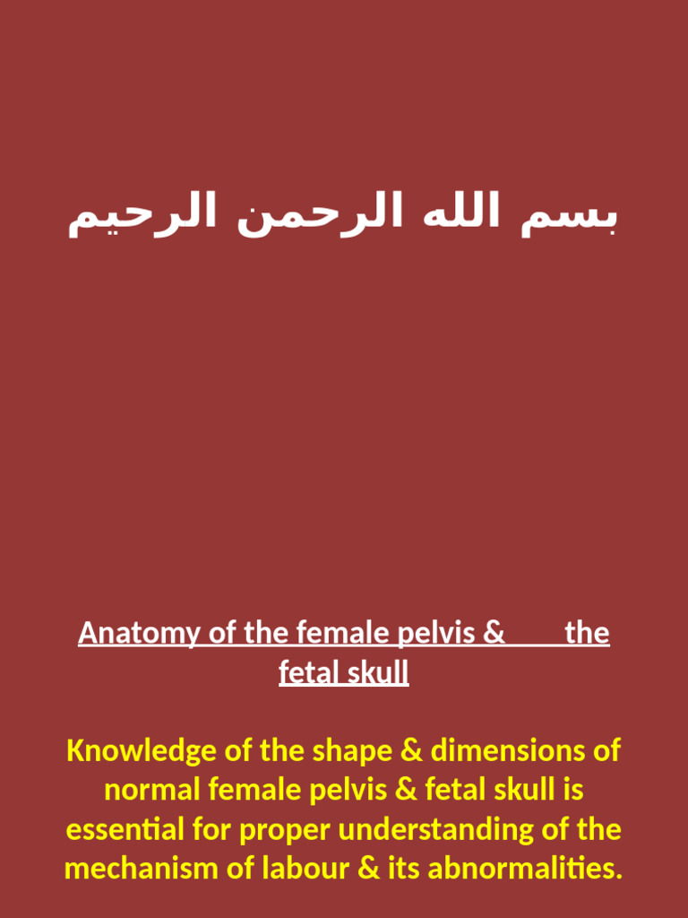 female-pelvis-and-fetal-skull-pdf