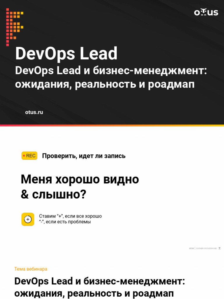 DevOps Lead и бизнес-менеджмент | PDF