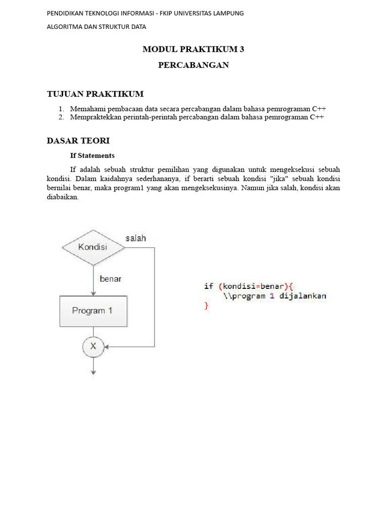 Modul Praktikum C++ Pti Unila #3 | PDF
