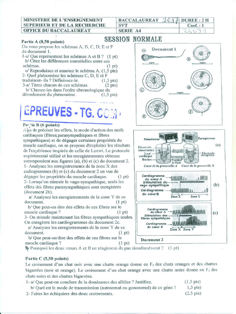 Bac A SVT 2017 | PDF