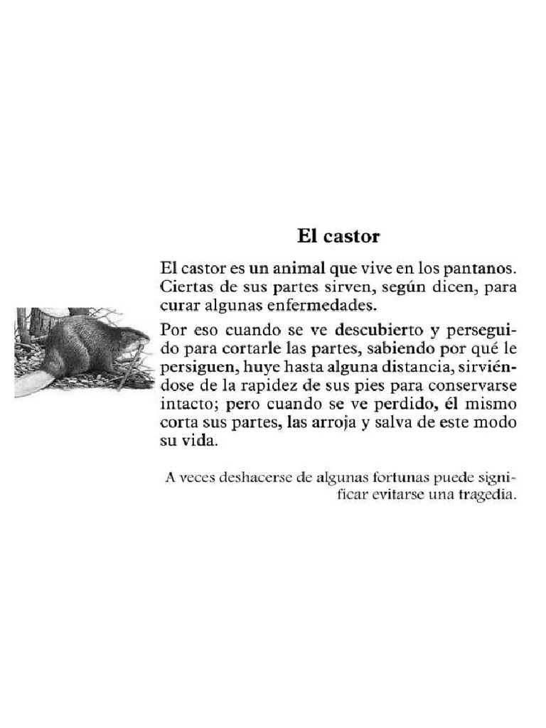 5 El Castor | PDF