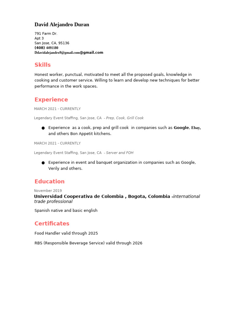 Curriculum David FSDP 2 | PDF