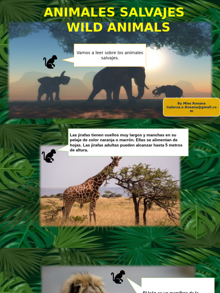 Reading - Wild Animals | PDF