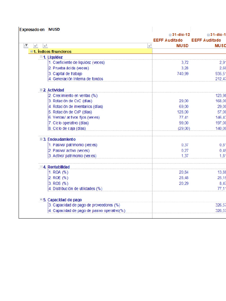 Ejemplo de Calculo de Indicadores 1 2024 | PDF