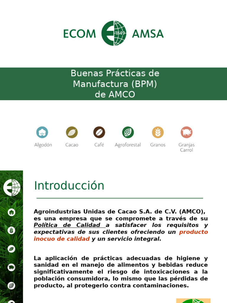 Buenas Prácticas de Manufactura (BPM) (ACTUALIZACION) | PDF