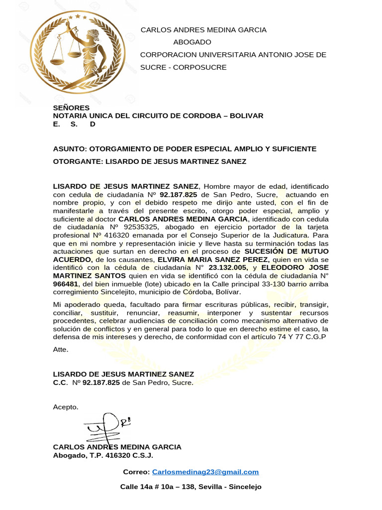 Poder FACTOR SALARIAL Y REPRESENTACION DE DEMANDA EJECUTIVA | PDF