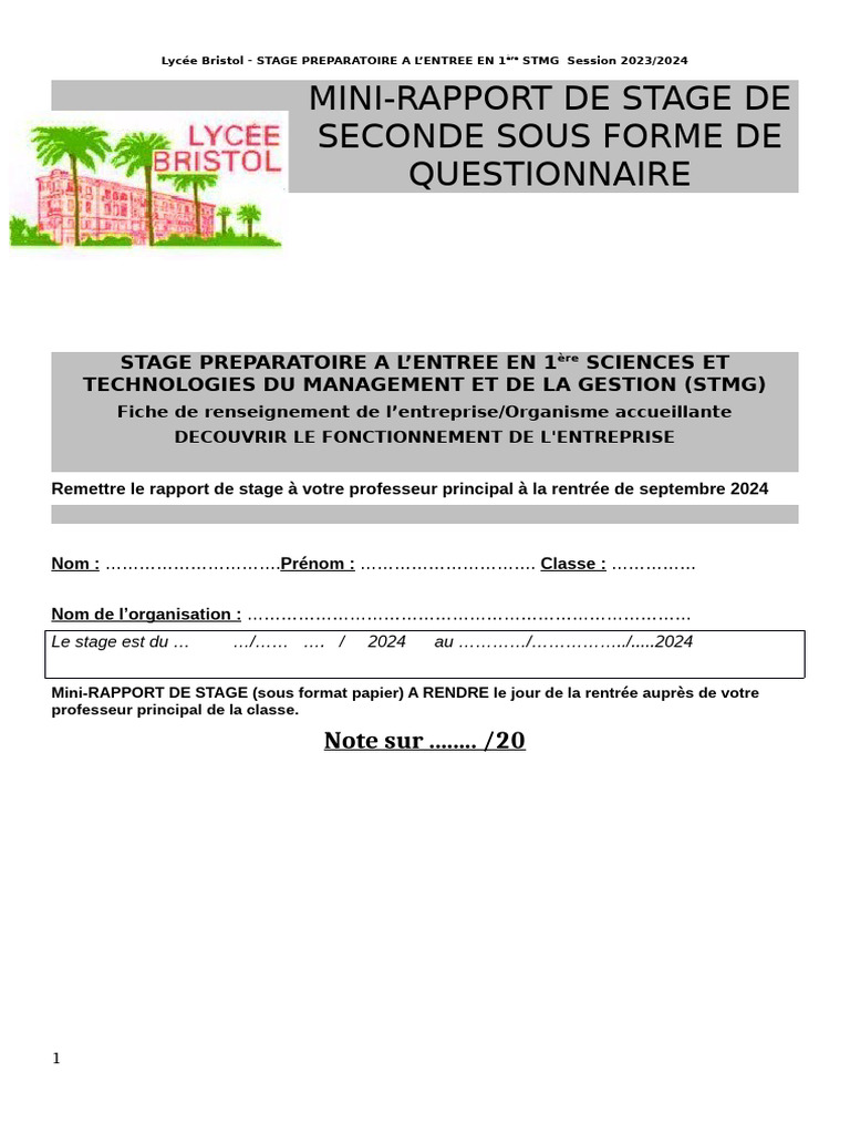 Rapport de Stage Entree en 1ere Stmg | PDF