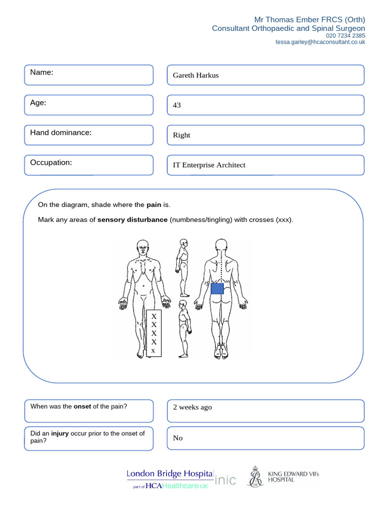 Pain Questionnaire TEM | PDF