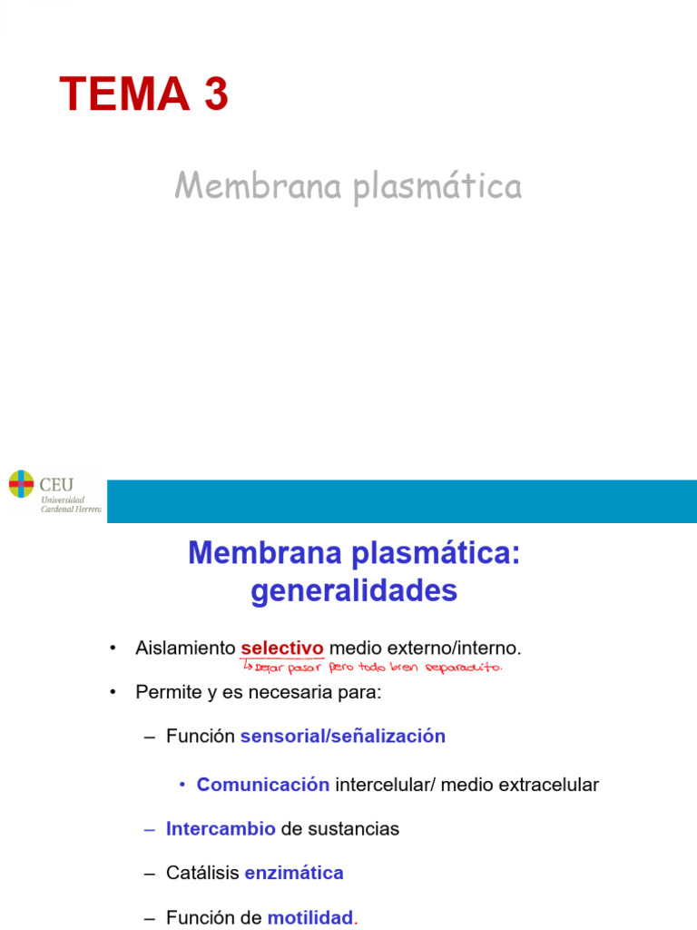 Tema 3: Membrana Plasmática | PDF