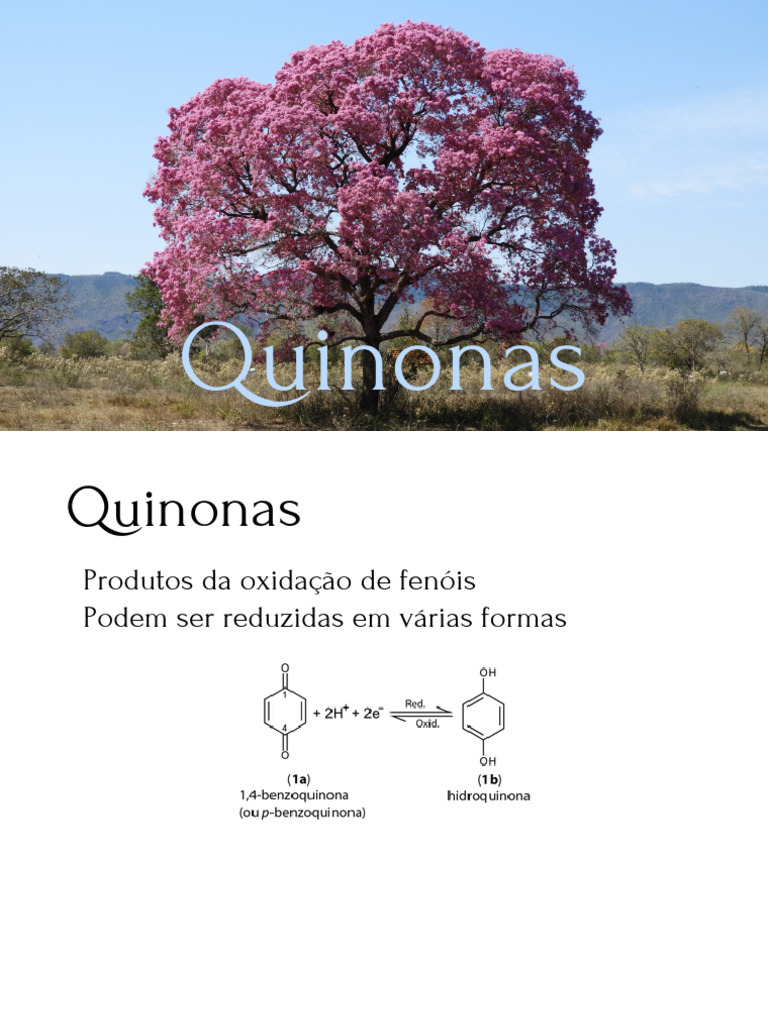 Aula 10 Quinonas | PDF